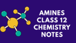 Amines Class 12 Chemistry Notes | Complete Guide with Examples, MCQs ...